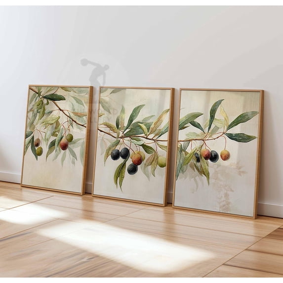 Olive Branch Mediterranean Botanical Nature Decor Art Set 3 Unframed ...