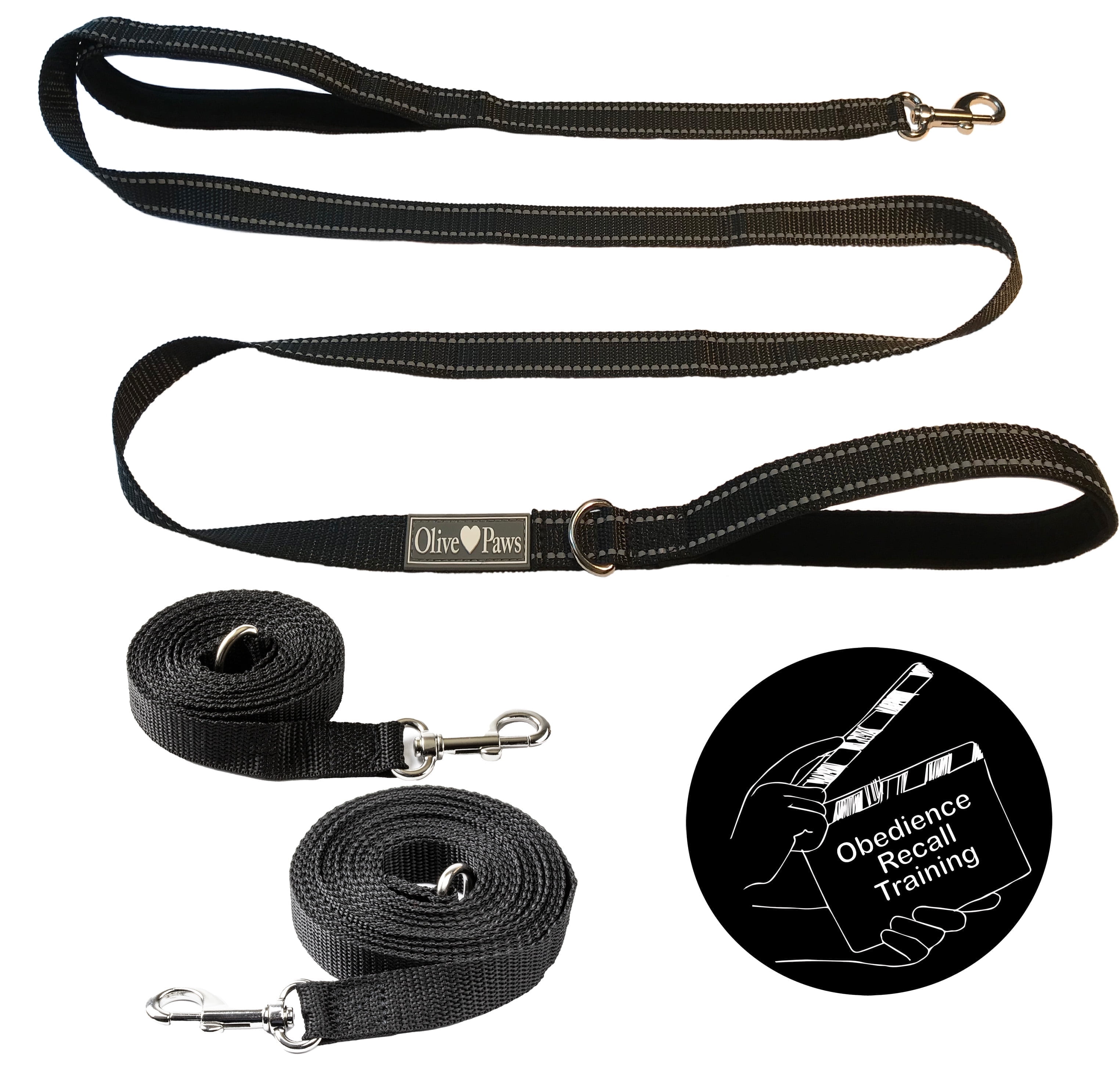 Olive Paws Long Dog Leash for Dog Training and Video. Dog Leashes 6ft ...