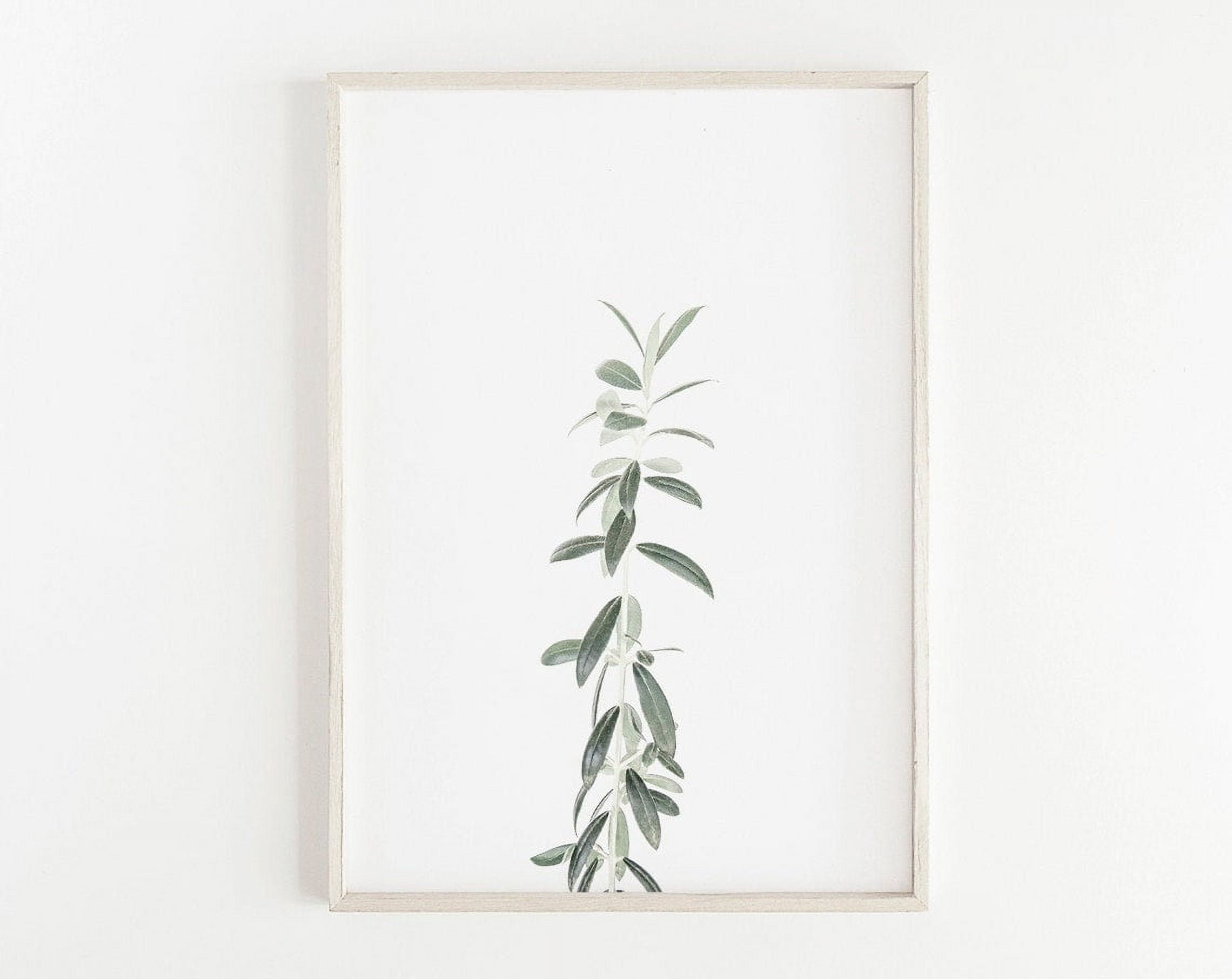 Olive Stem Print Modern Farmhouse Wall Art Kitchen Wall Art Minimalist ...