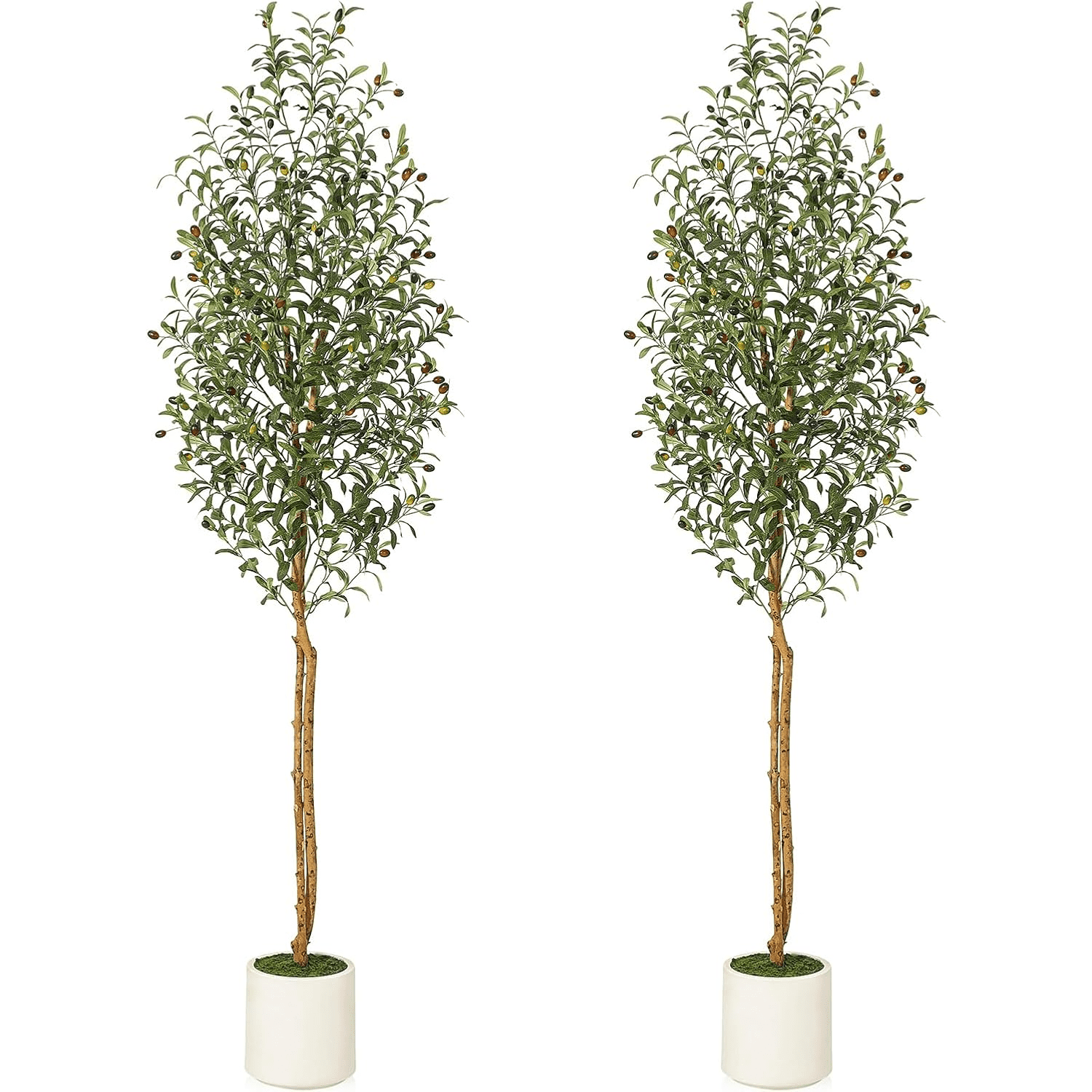 Olive Tree Artificial Indoor Fake Trees with White Planter Faux Silk ...