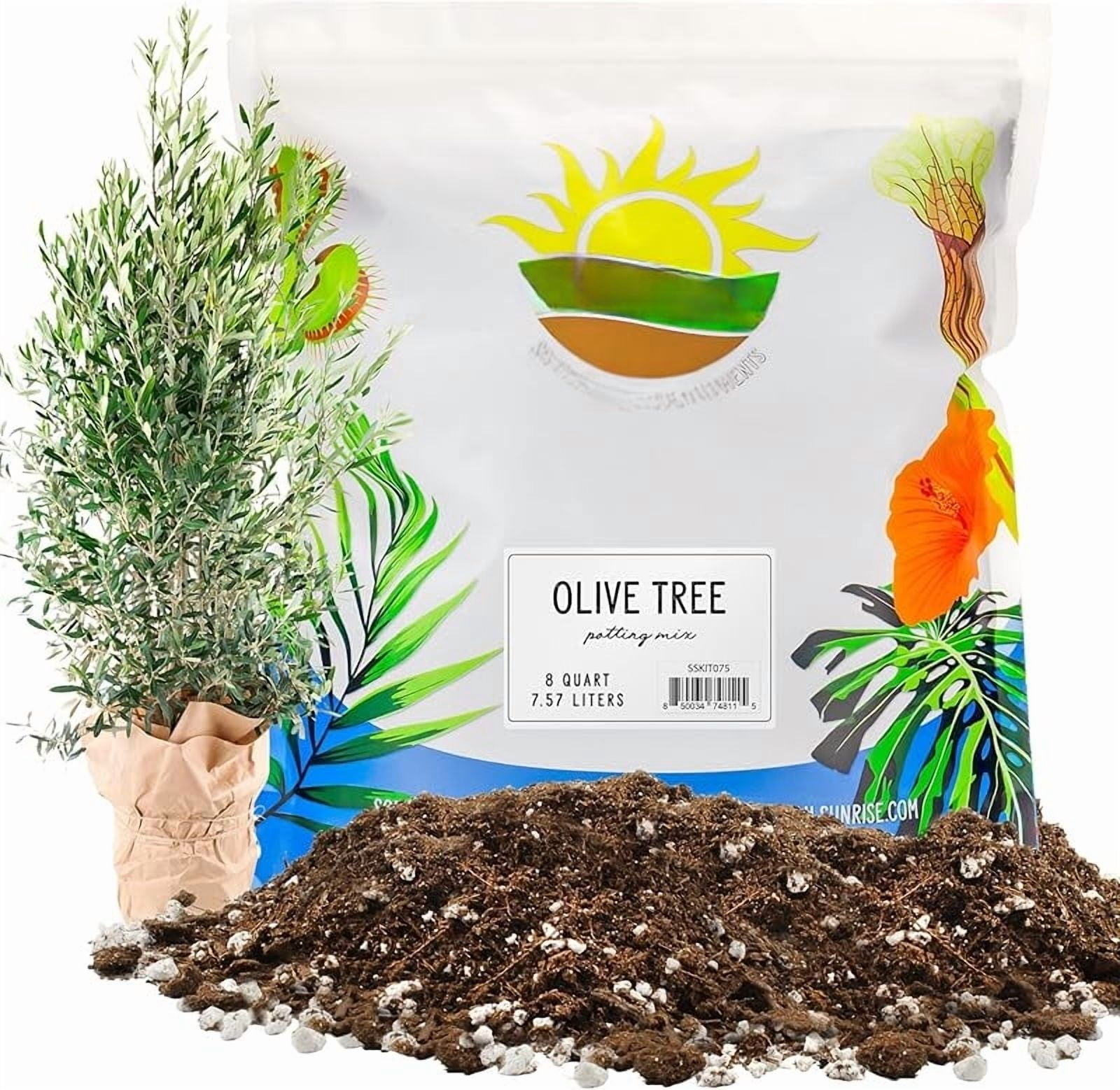 Olive Tree Potting Soil Mix (8 Quarts), for Planting, Repotting, and ...