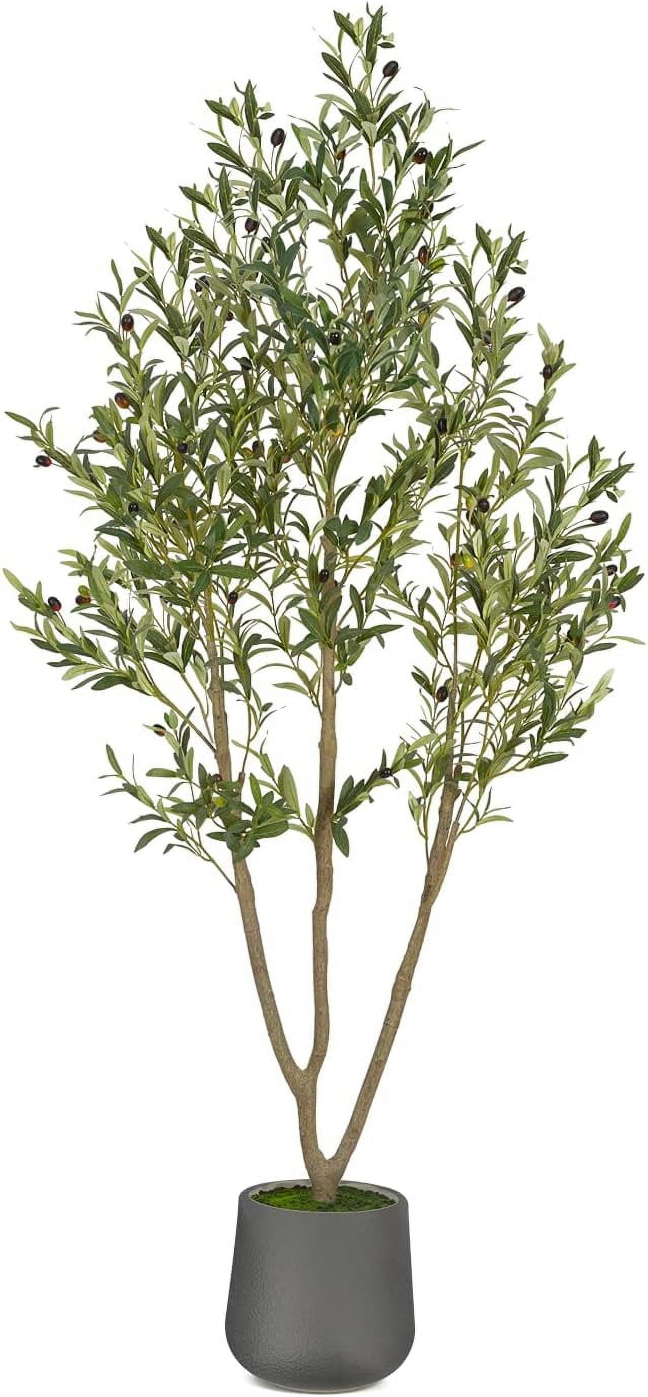 Olive Trees Artificial Indoor, 6FT Tall Faux Olive Tree with Gray Tall ...