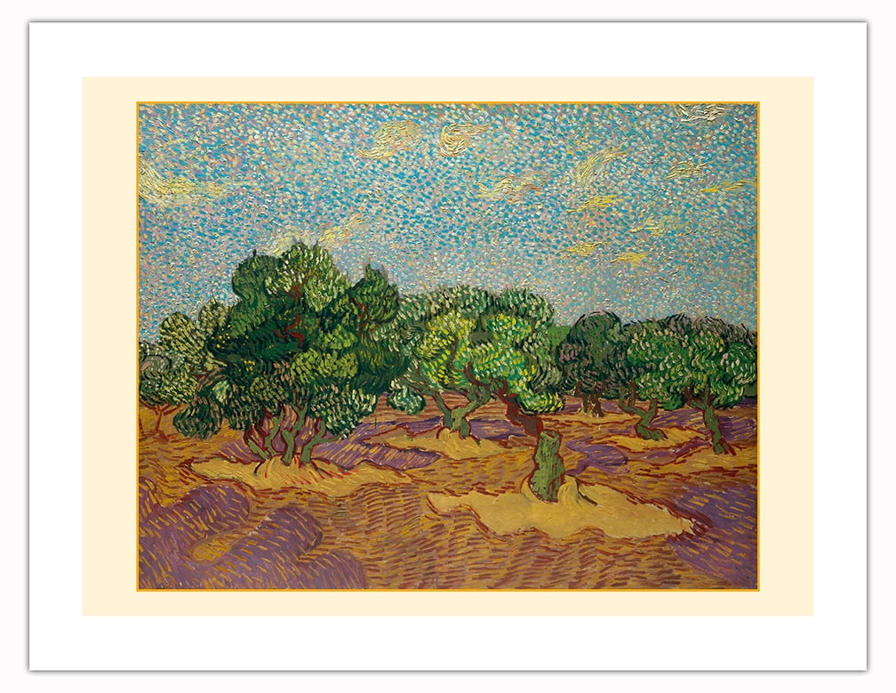 Olive Trees - From an Original Color Painting by Vincent Van Gogh c ...