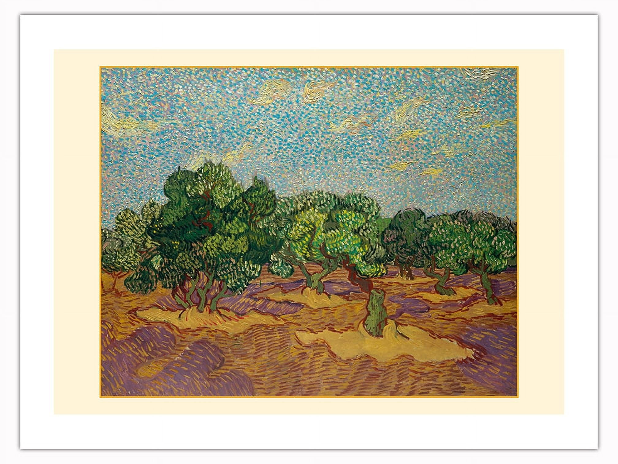 Olive Trees - From an Original Color Painting by Vincent Van Gogh c ...