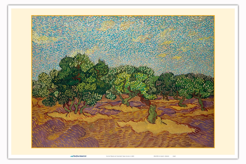 Olive Trees - From an Original Color Painting by Vincent Van Gogh c ...
