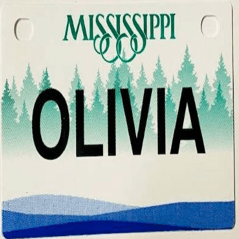 Olivia Mini Bike Plate Add On Accessory - Walmart.com