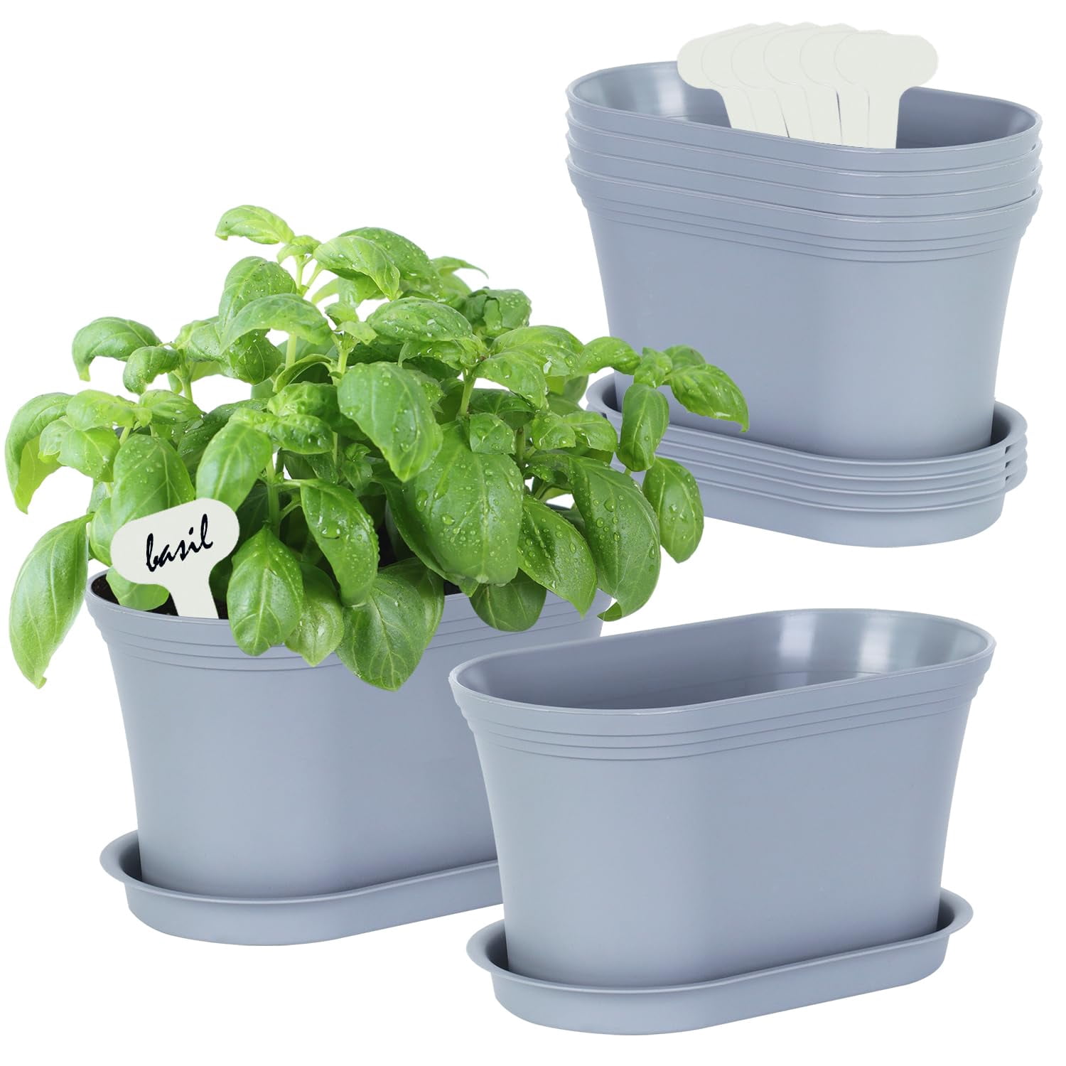 Oliz Windowsill Herb Garden Planter with AIS1 Tray, Set of 6 Grey Oval ...
