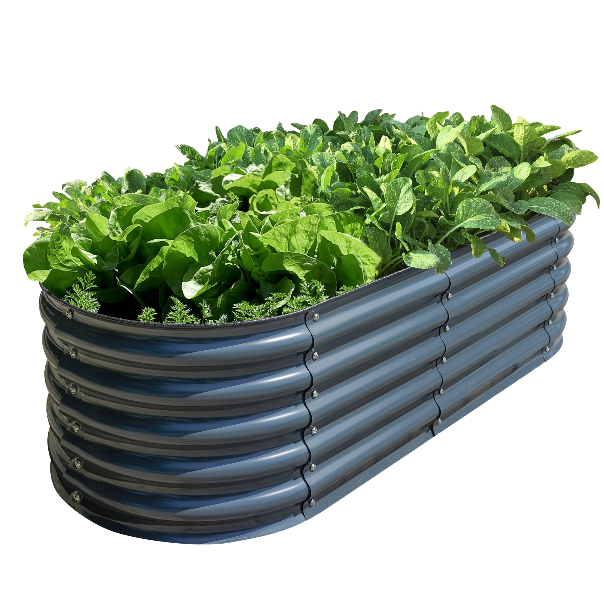 Olle 17" Tall Raised Garden Bed Kit Fruits Vegetables Flowers Planter ...