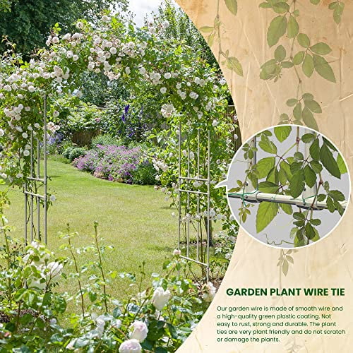 Olle Arbor Trellis for Climbing Plants Outdoor Easy Assembly Arch for ...