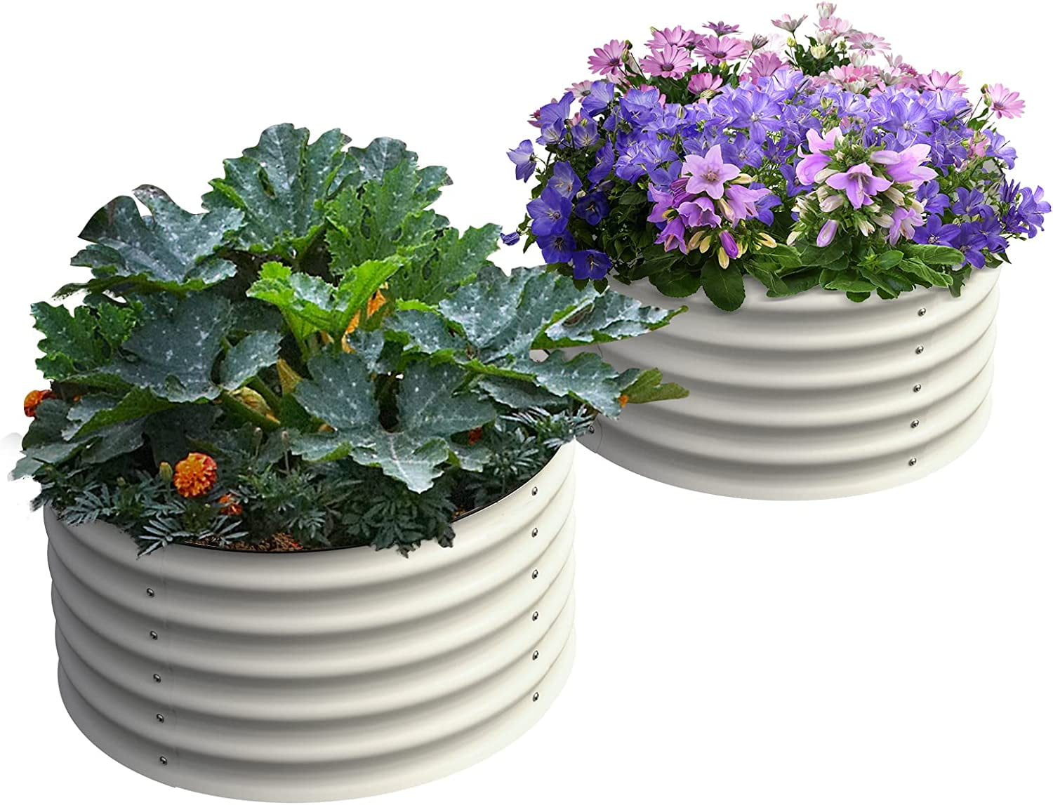 Olle Twin Round Raised Beds for Gardening, Galvanized Planter Box for ...