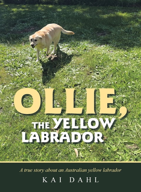 Ollie, the Yellow Labrador: A true story about an Australian yellow ...