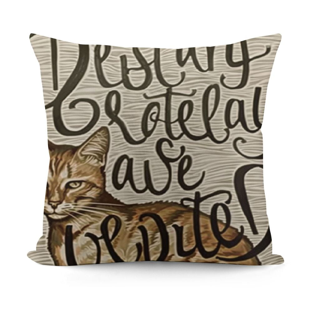 Ollo0ord Kids Reading Pillow Covers, Boho Classroom Decor, Pillows for ...