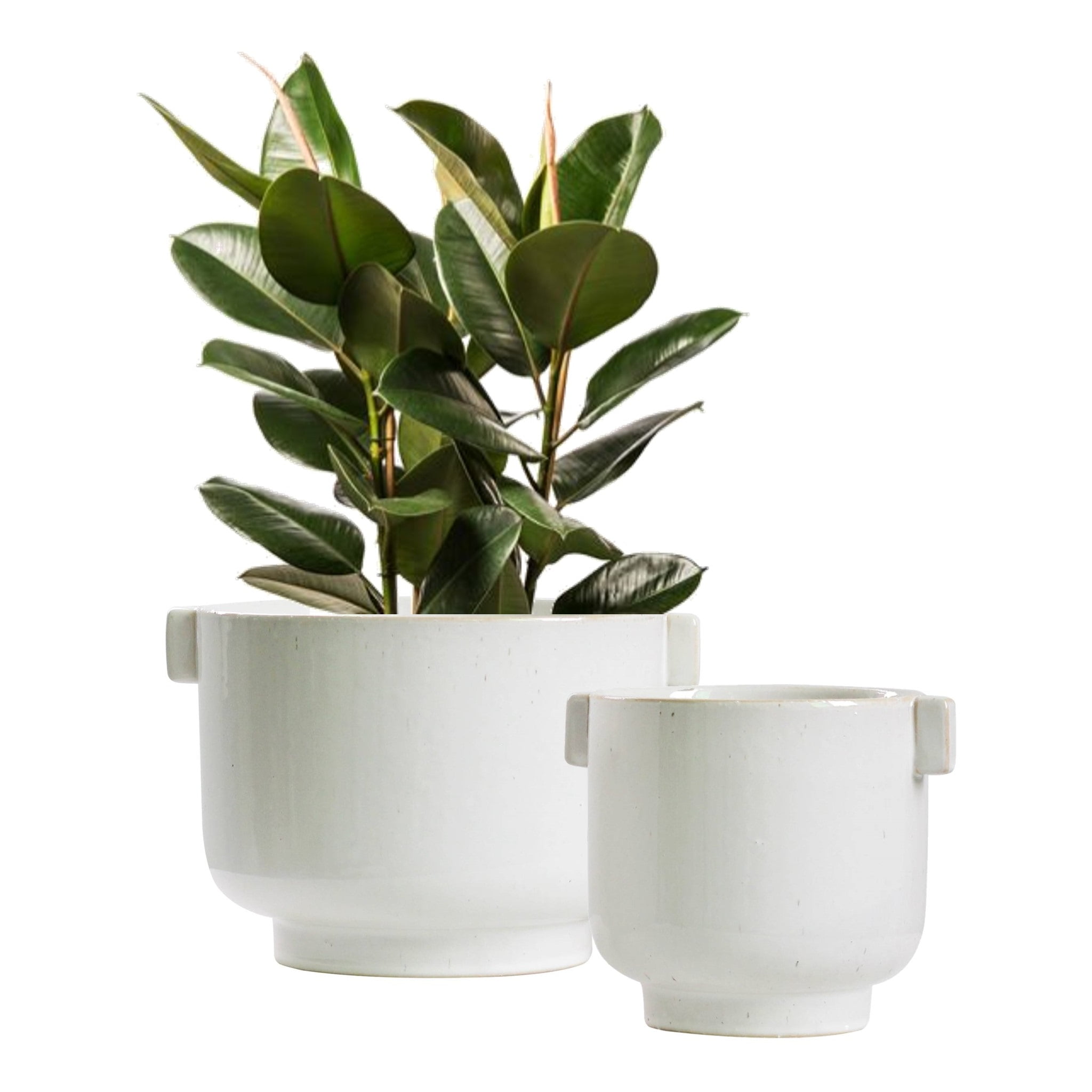 Olly & Rose Ceramic Plant Pot Set - Indoor/Outdoor, Small/Large Size ...