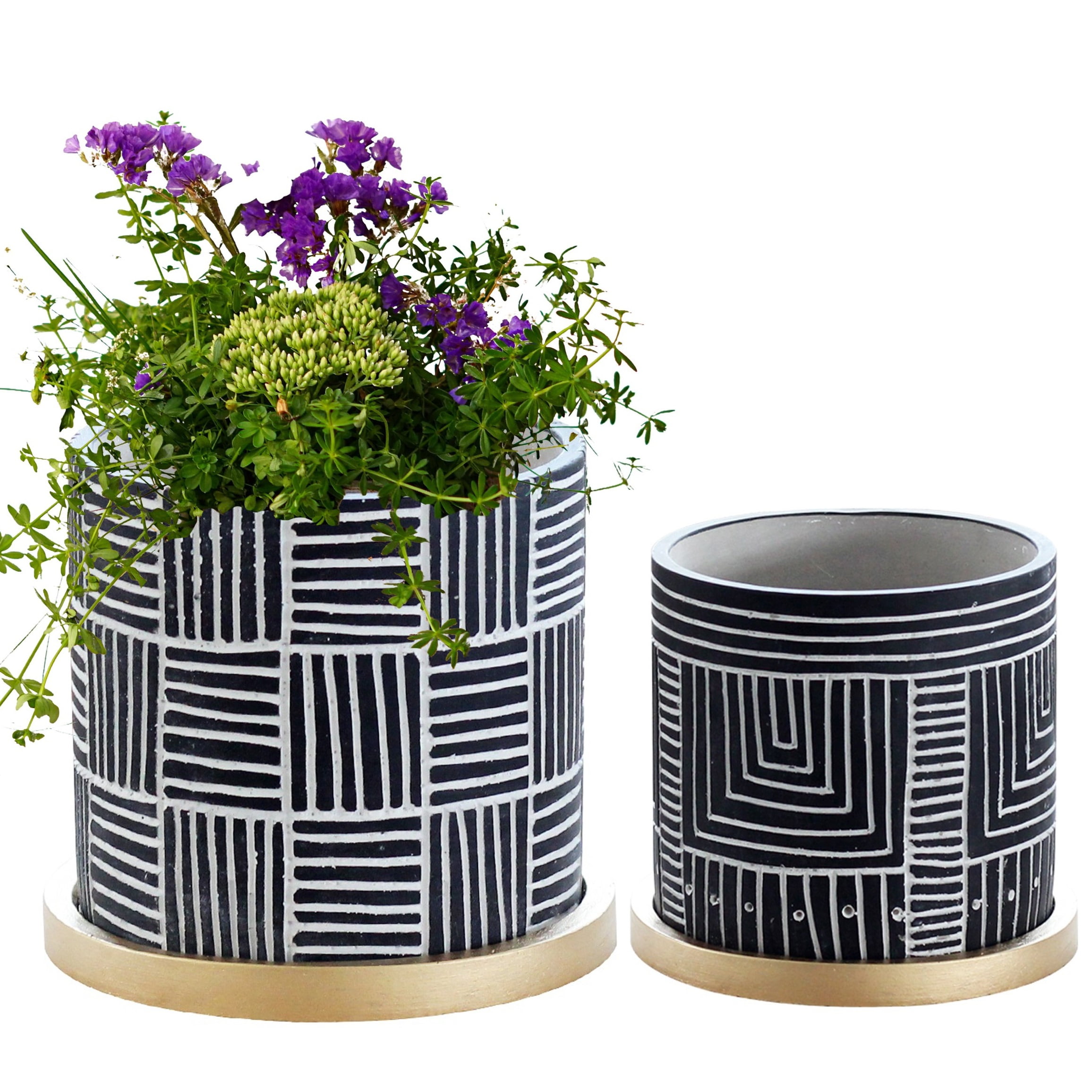 Olly & Rose Designer Black Plant Pots Set 2 with Gold Saucers Ceramic ...