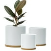 Olly & Rose Milan Indoor Flower Plant Pot Set with Drainage - Matt ...