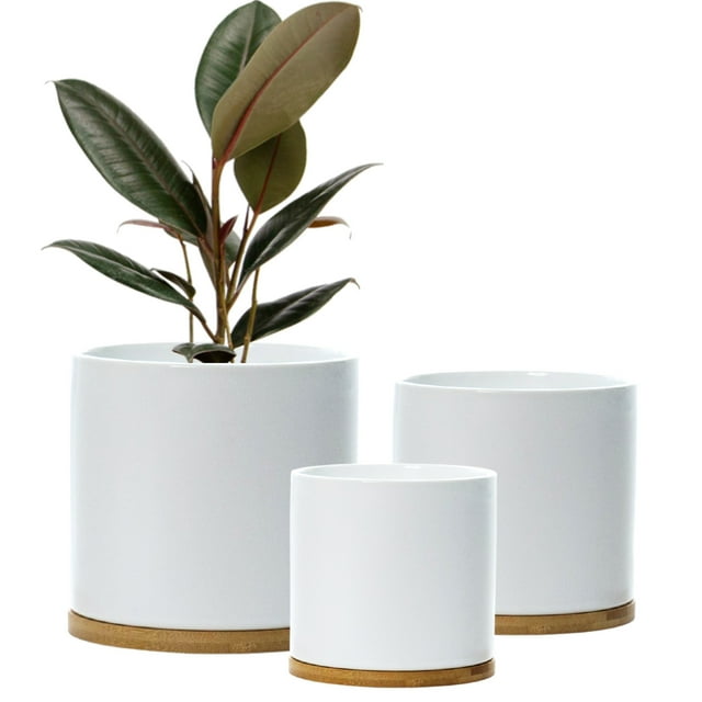 Olly & Rose Set of 3 Ceramic Plant Pots with Bamboo Coasters, Indoor ...