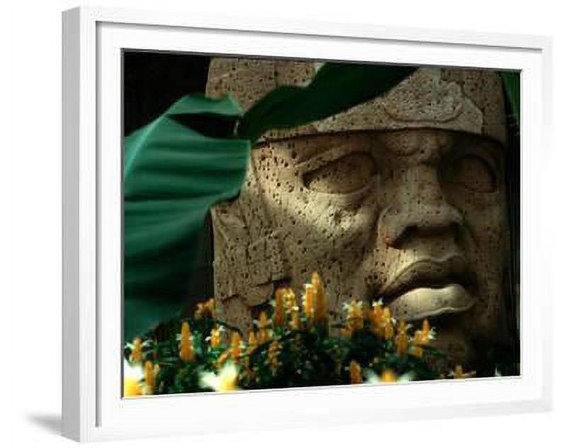 Olmec, Colossal Head, San Lorenzo, Xalapa Museum, Veracruz, Mexico ...