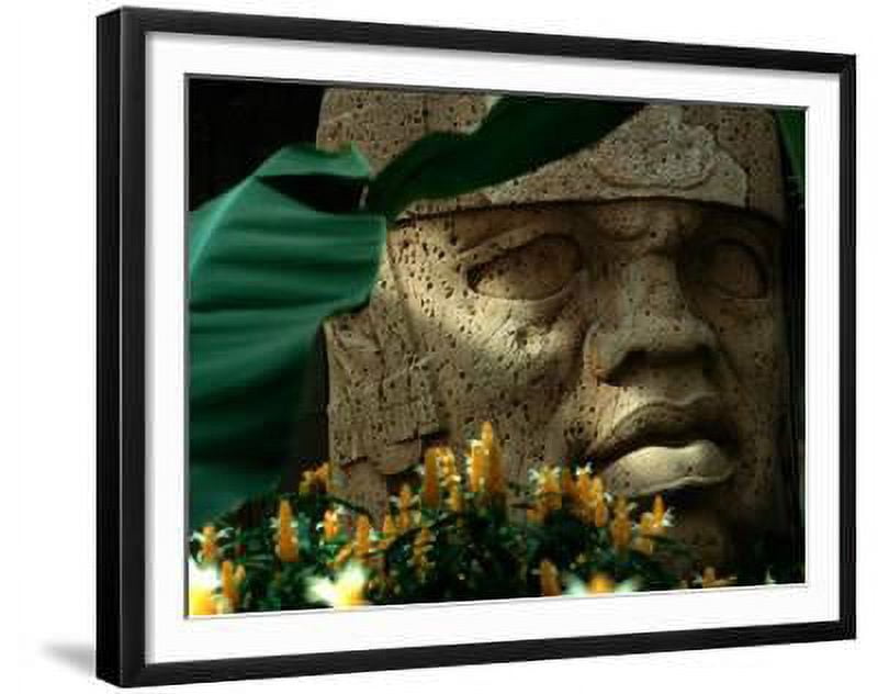 Olmec, Colossal Head, San Lorenzo, Xalapa Museum, Veracruz, Mexico ...