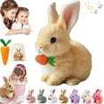 Olygee Bunny Pal, Yifare Bunny Pal, Petsboro Bunny Pal, Fanyil Bunnypal ...