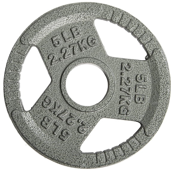 Olympic Cast Iron 2-Inch Weight Plates for Strength Training ...