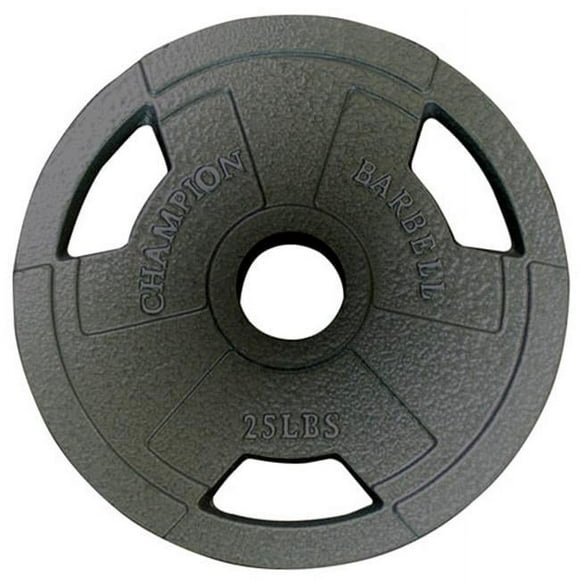 25lb Weight Plate