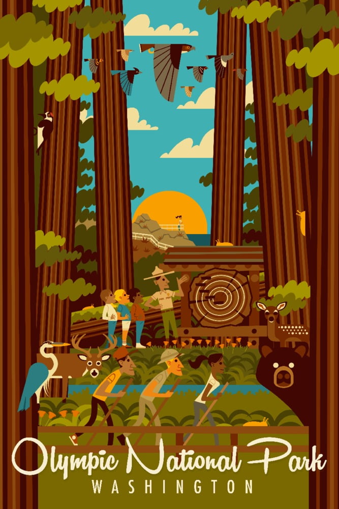 Olympic National Park, Washington, Geometric National Park Series ...