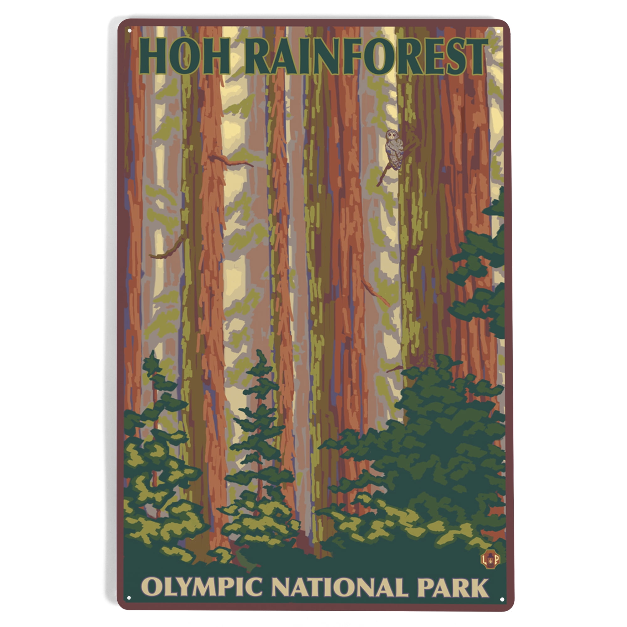 Olympic National Park, Washington, Hoh Rainforest (12x18 Aluminum Art ...