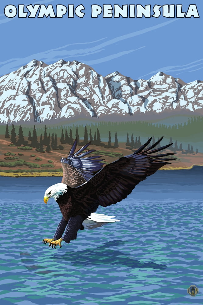 Olympic Peninsula, Fishing Eagle (12x18 Wall Art Poster, Room Decor ...