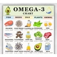 Omega-3 Food Chart Poster, High Omega-3 Food PDF, Omega-3 Grocery List ...