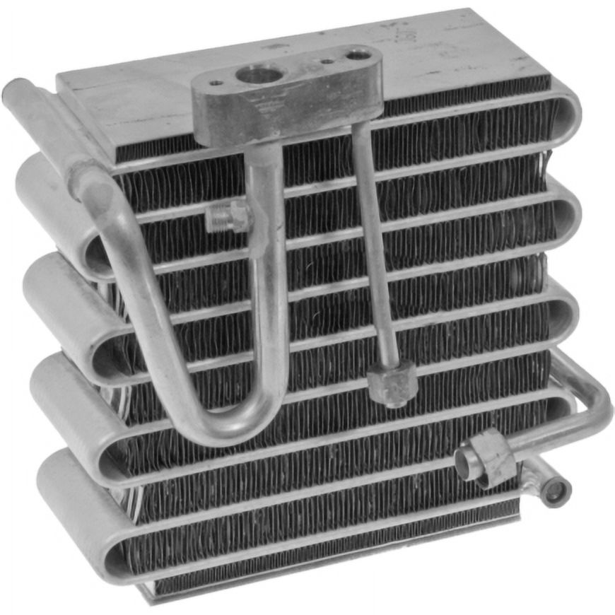 Omega Environmental Technologies 27-20158 Evap Civic 94 97 Integra 94 ...