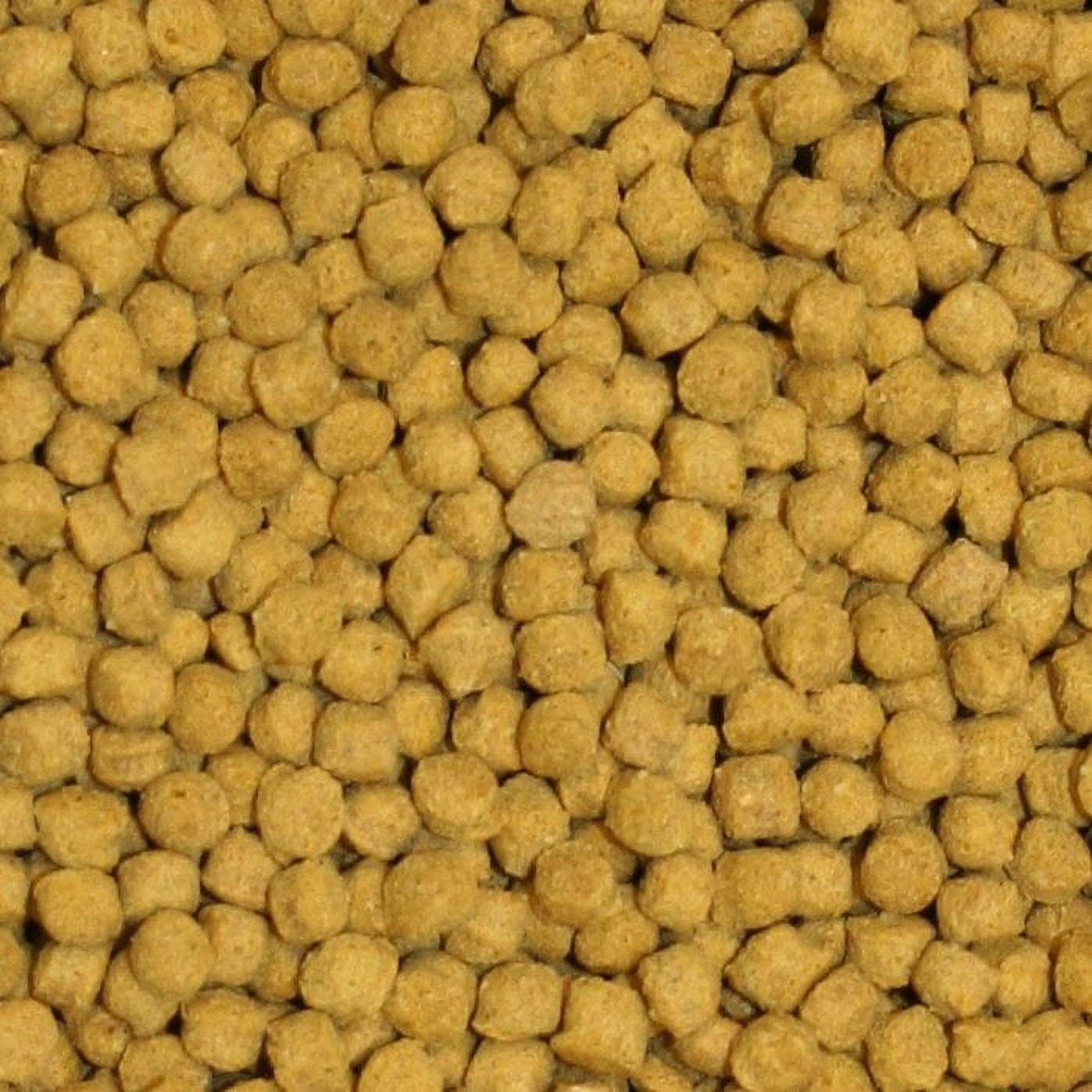 Omega One Small Sinking Goldfish Pellets (8 oz) - Walmart.com