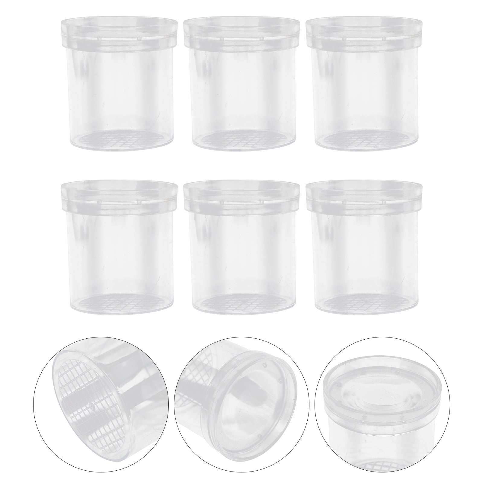 Omeite Insect observation cup Insect triple magnifying glass Insect ...