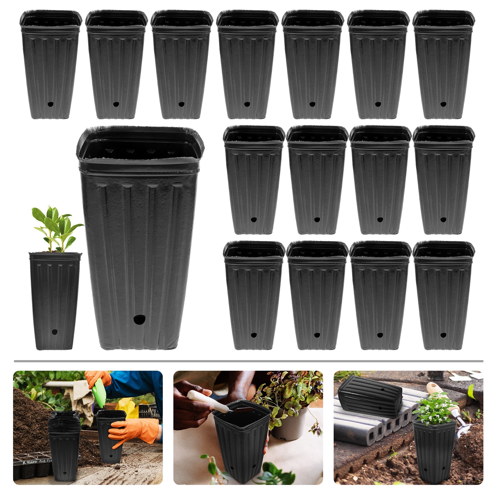 Omeite Navel citrus cup slender square mouth nutrient pot seedling cup ...