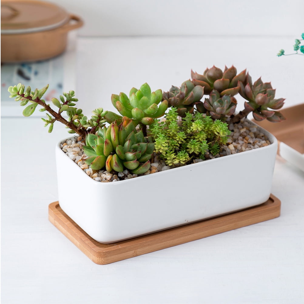 Omeite White porcelain rectangular flower pot ceramic plant pot bamboo ...