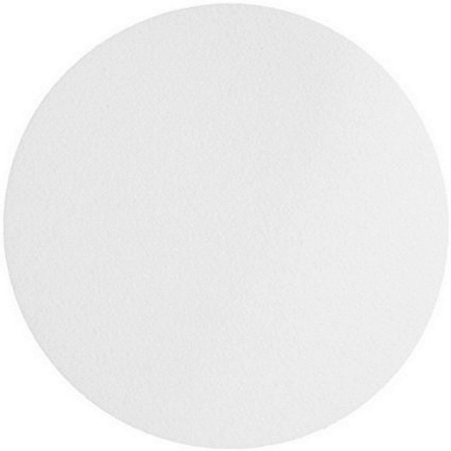 Omicron 134047 Borosilicate Glass Fiber Binder Free Filter,0.7 Micron ...