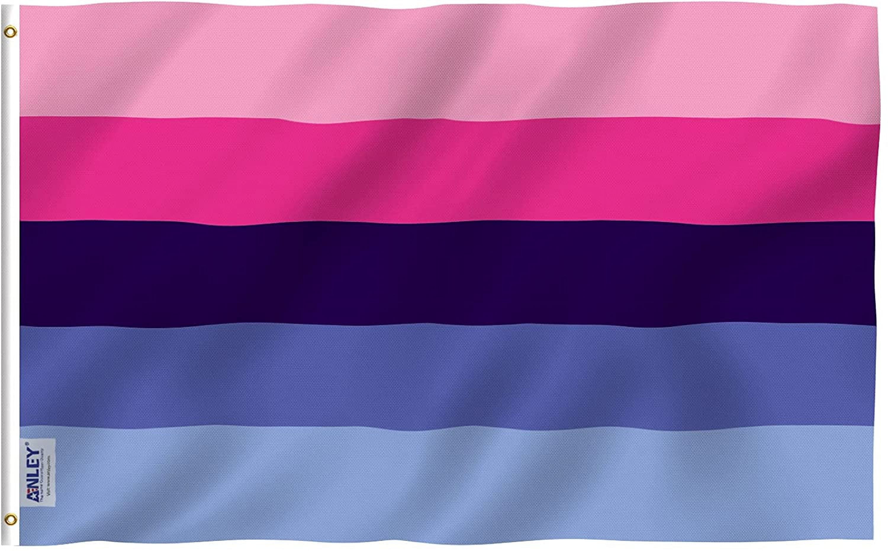Ominisexuality Omni Pansexual Pride Flag - Vivid Color and Fade Proof ...