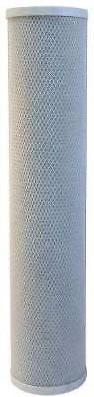 OmniFilter TO8-20-SS2-S06 Heavy Duty Filter Cartridge for BF55 Housing ...