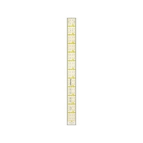 12 Inch Ruler