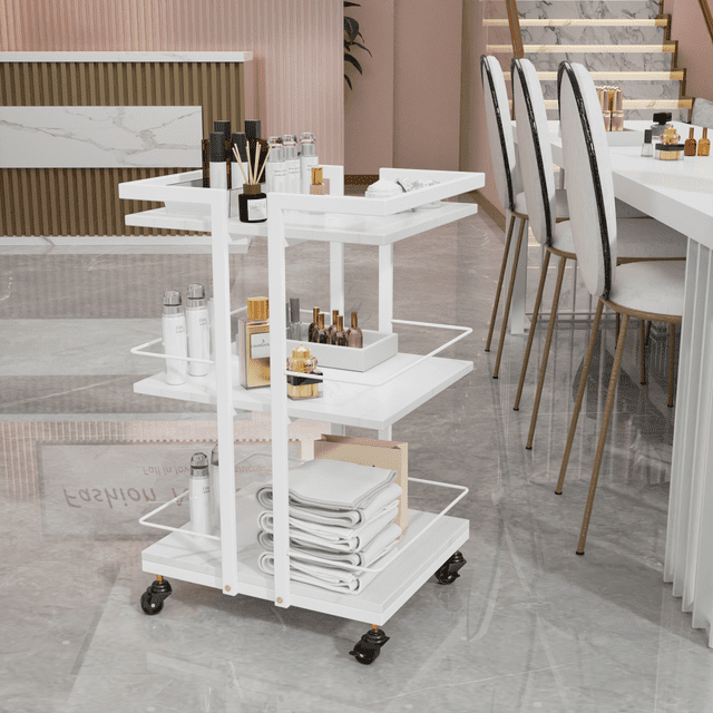 OmySalon Mobile Esthetician Trolley, Spa & Tattoo Storage Organizer ...