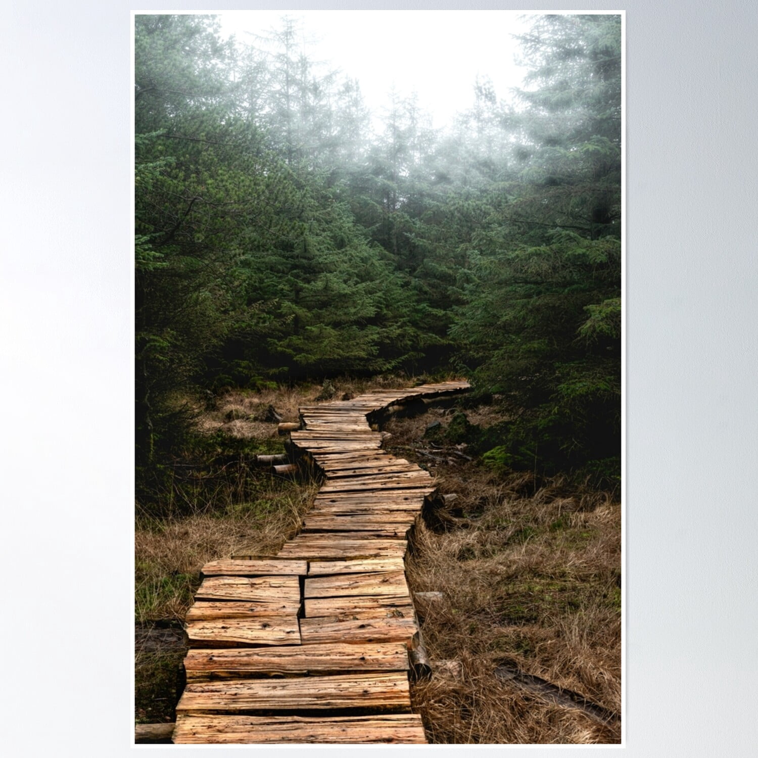 On The Boardwalk Poster Wall Art, Modern Wall Decor, 16x24 UNFRAMED ...