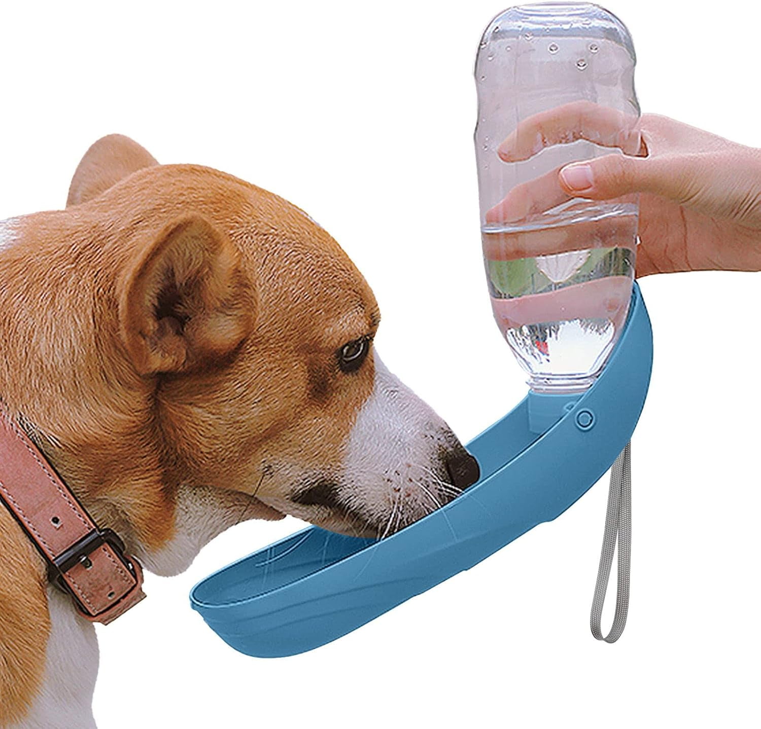 Pawprint Companion: Portable Dog Water Bottle, Your Reliable Partner In ...