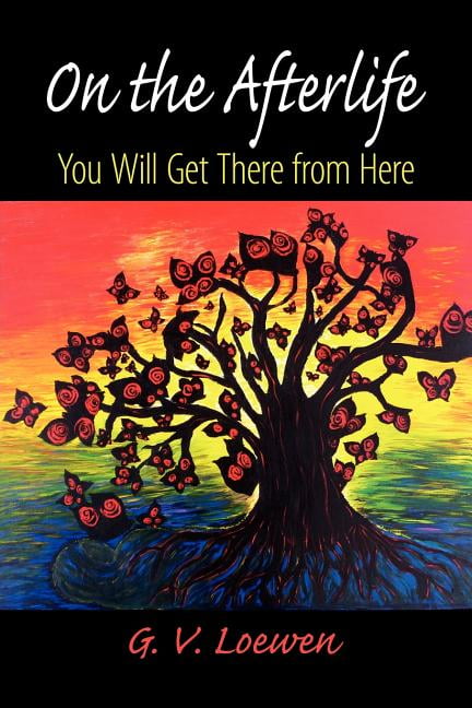 On the Afterlife: You Will Get There from Here (Paperback) - Walmart ...