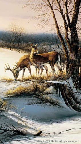 On the Alert - Whitetail Deer Pinnacle Print by Terry Redlin - Walmart.com