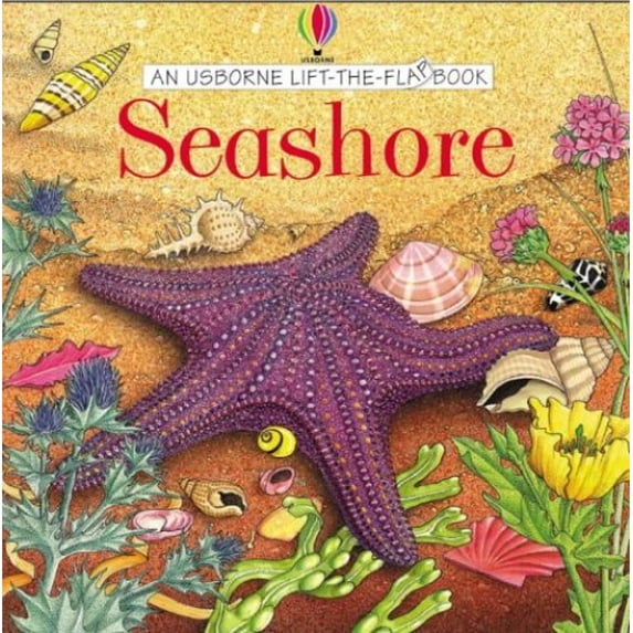 Pre-Owned On the Beach (Lift-the-flap Learners) (Usborne Lift the Flap ...