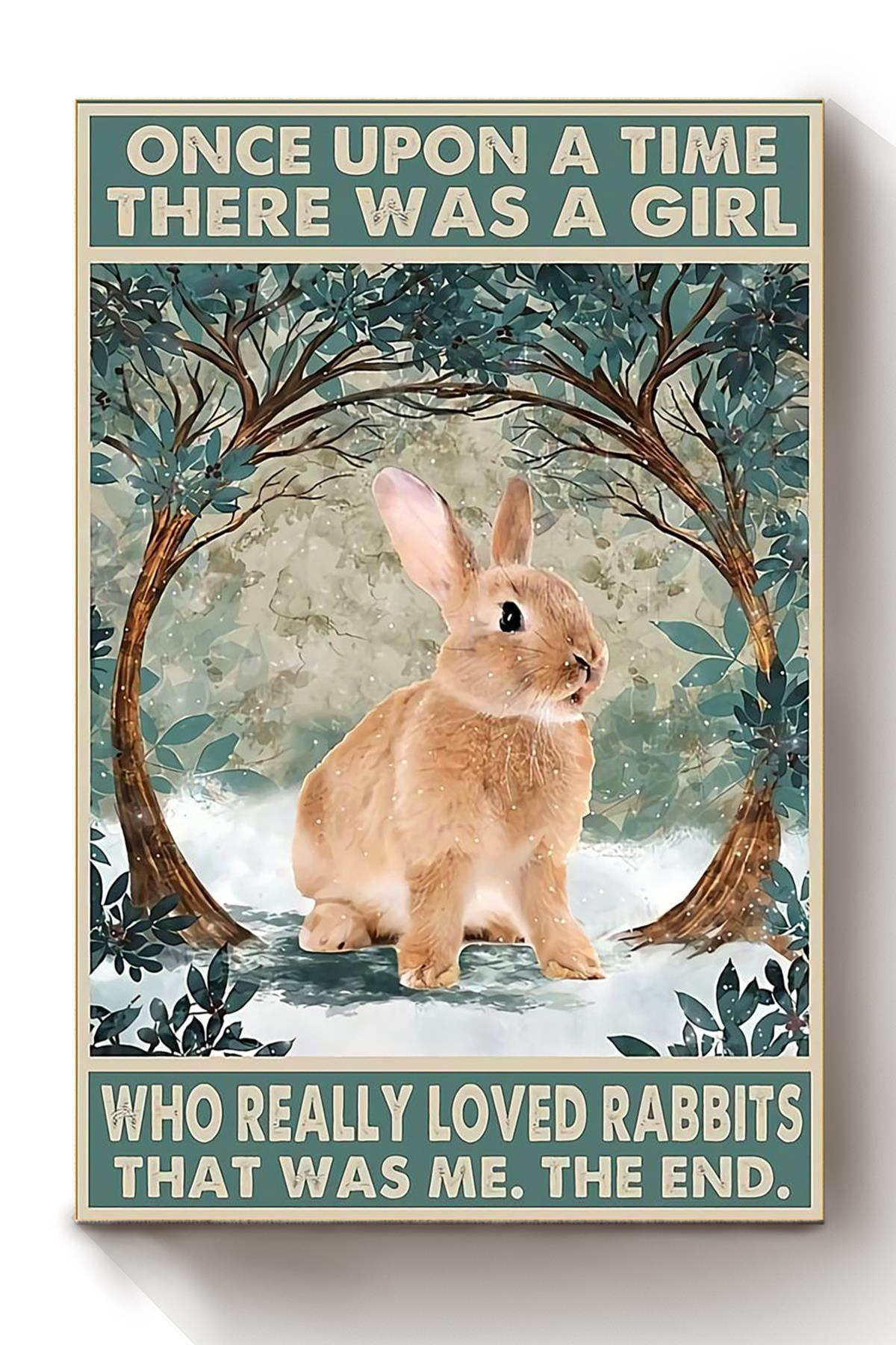 Once Upon A Time Girl Loved Rabbits Gift For Rabbit Lover Rabbit ...