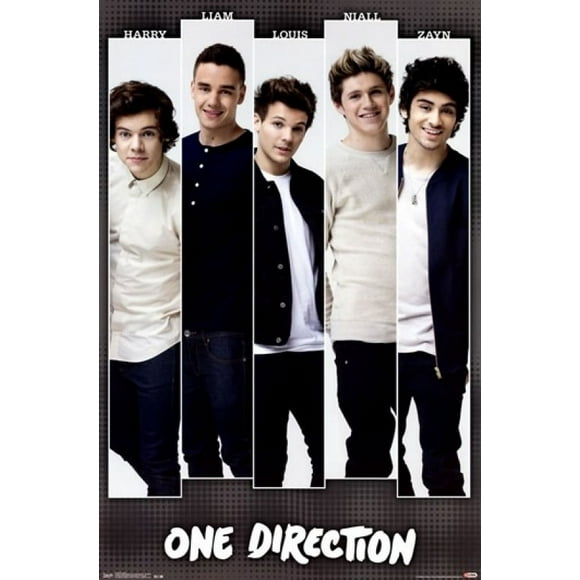 One Direction Posters