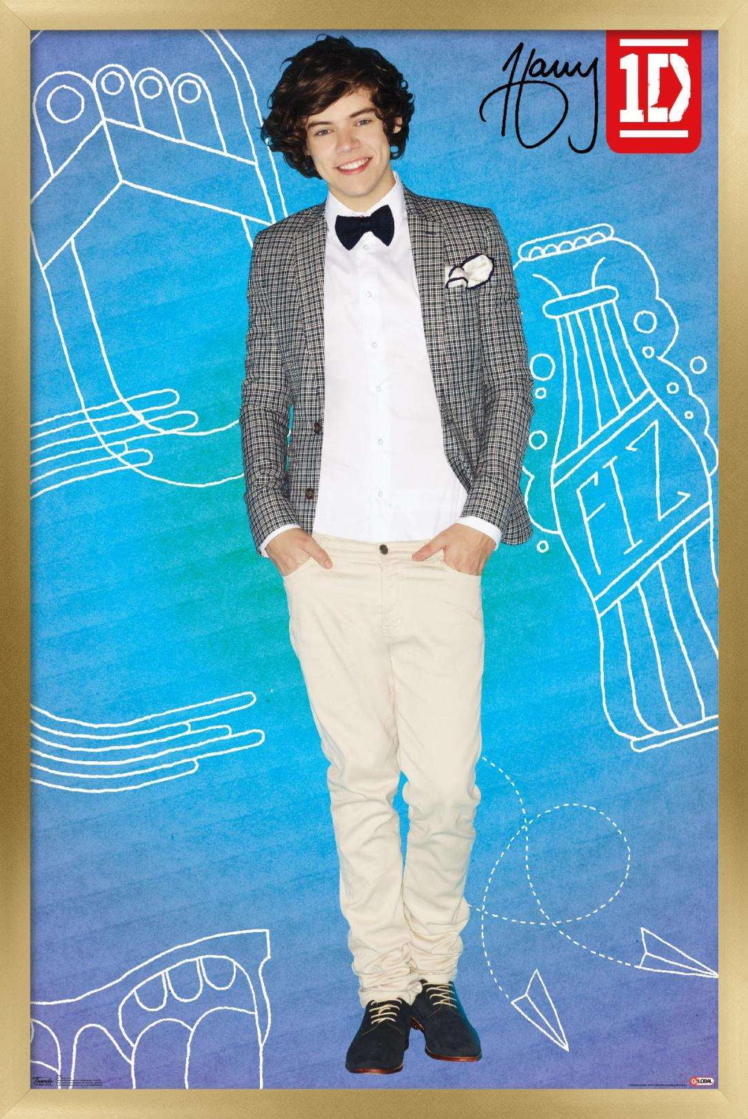 One Direction Posters Harry