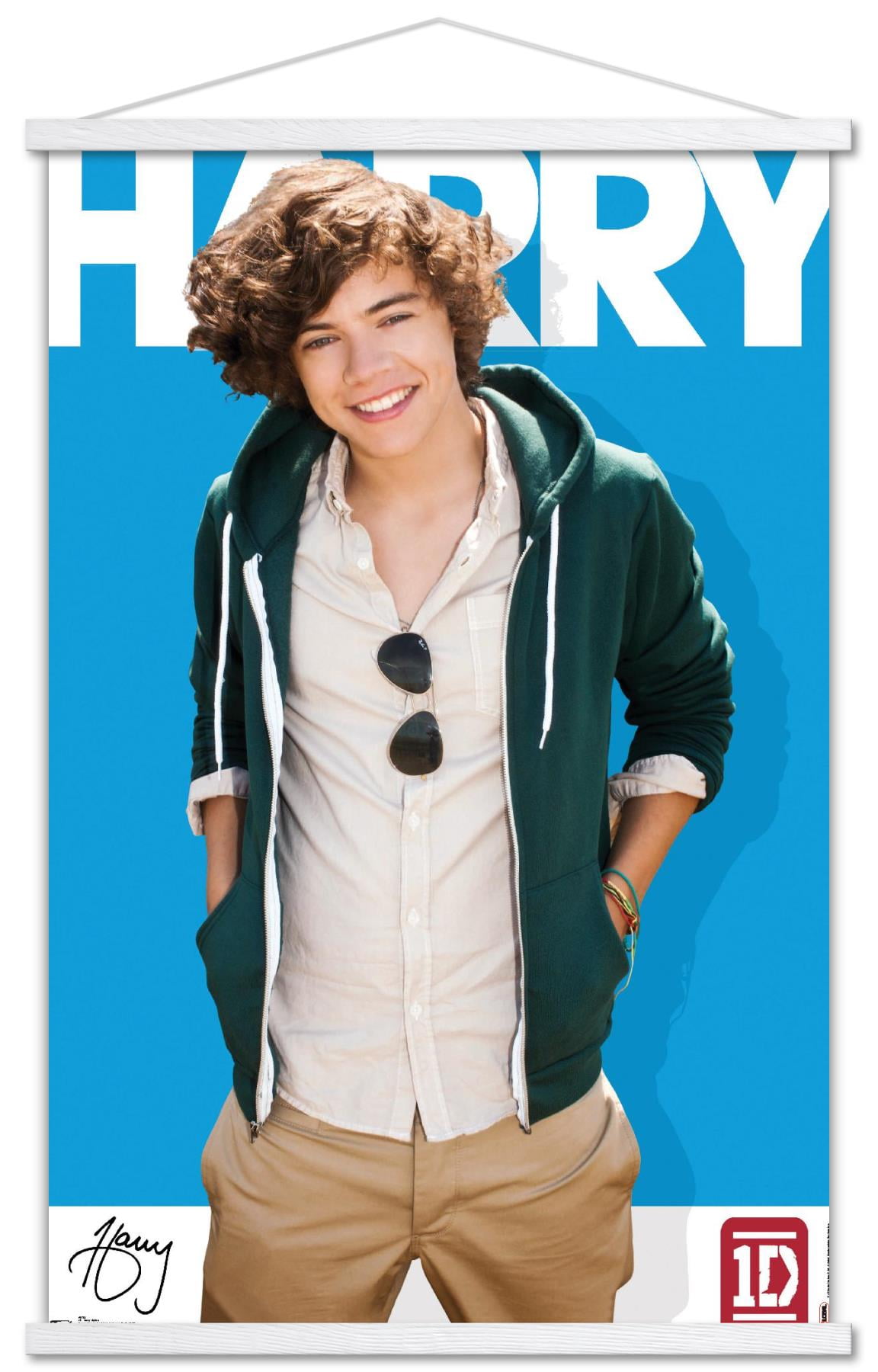 Demotivational Posters One Direction