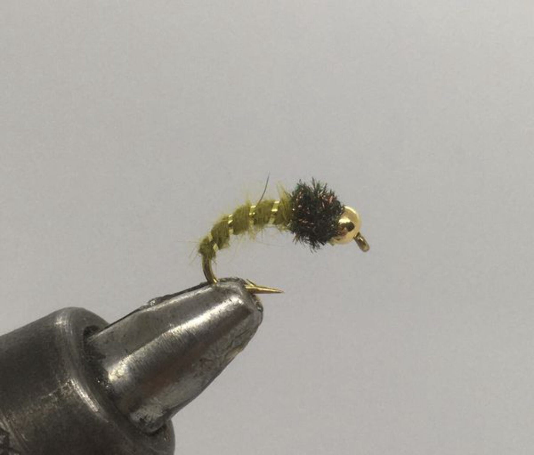 One Dozen (12) - Beadhead Caddis Larva - Olive - Nymph - Walmart.com