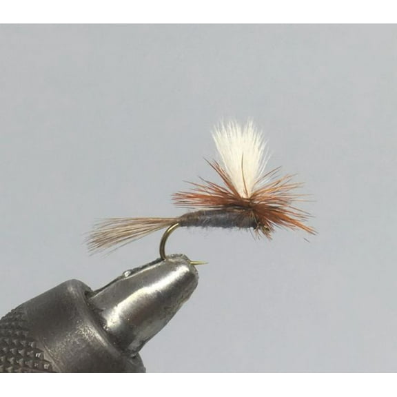 RoxStar Fly Shop | Barbless Trophy Trout Fly Assortment 24pk | Wet ...